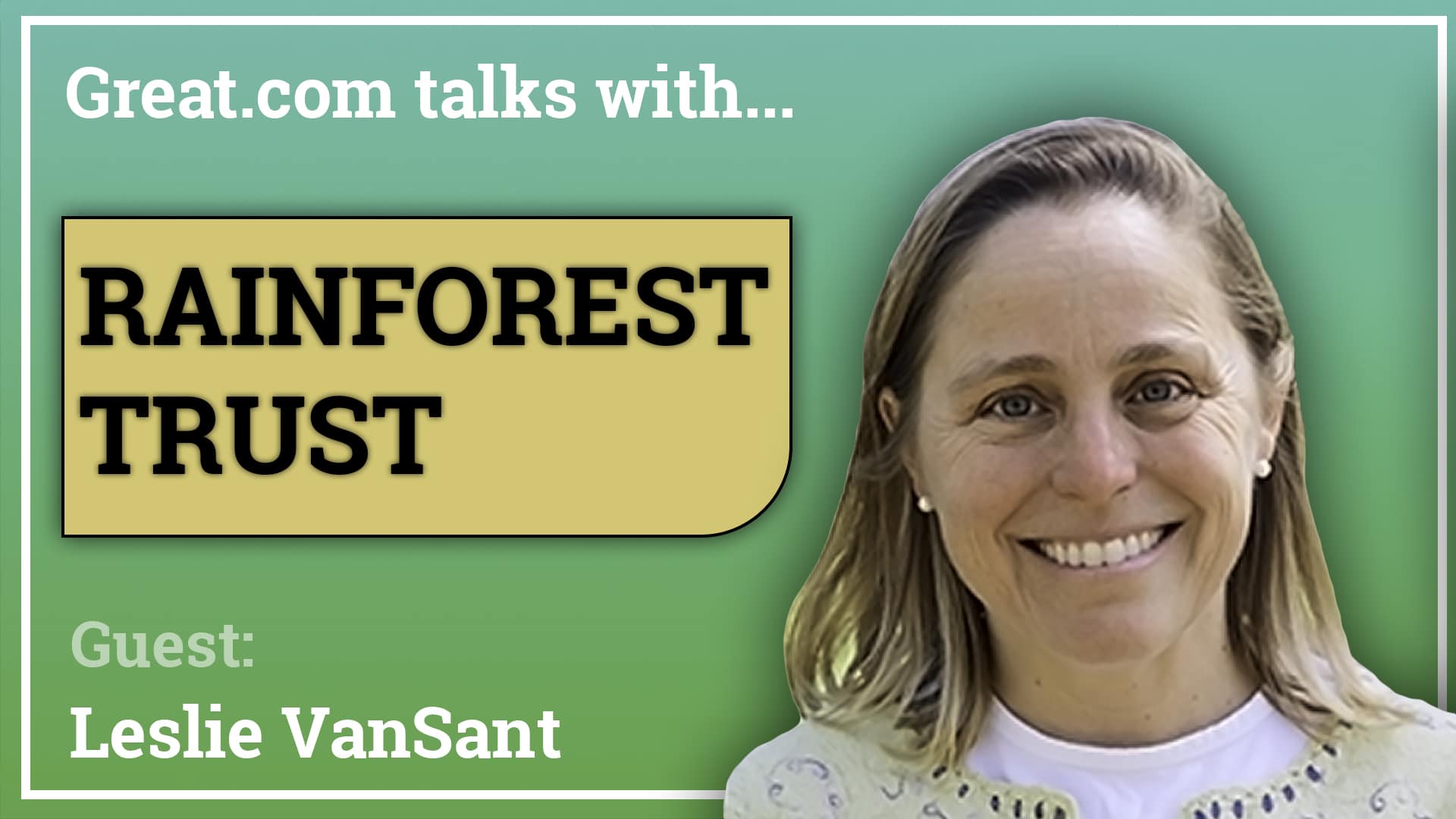 How is Deforestation Destroying the Rainforest? - Great.com