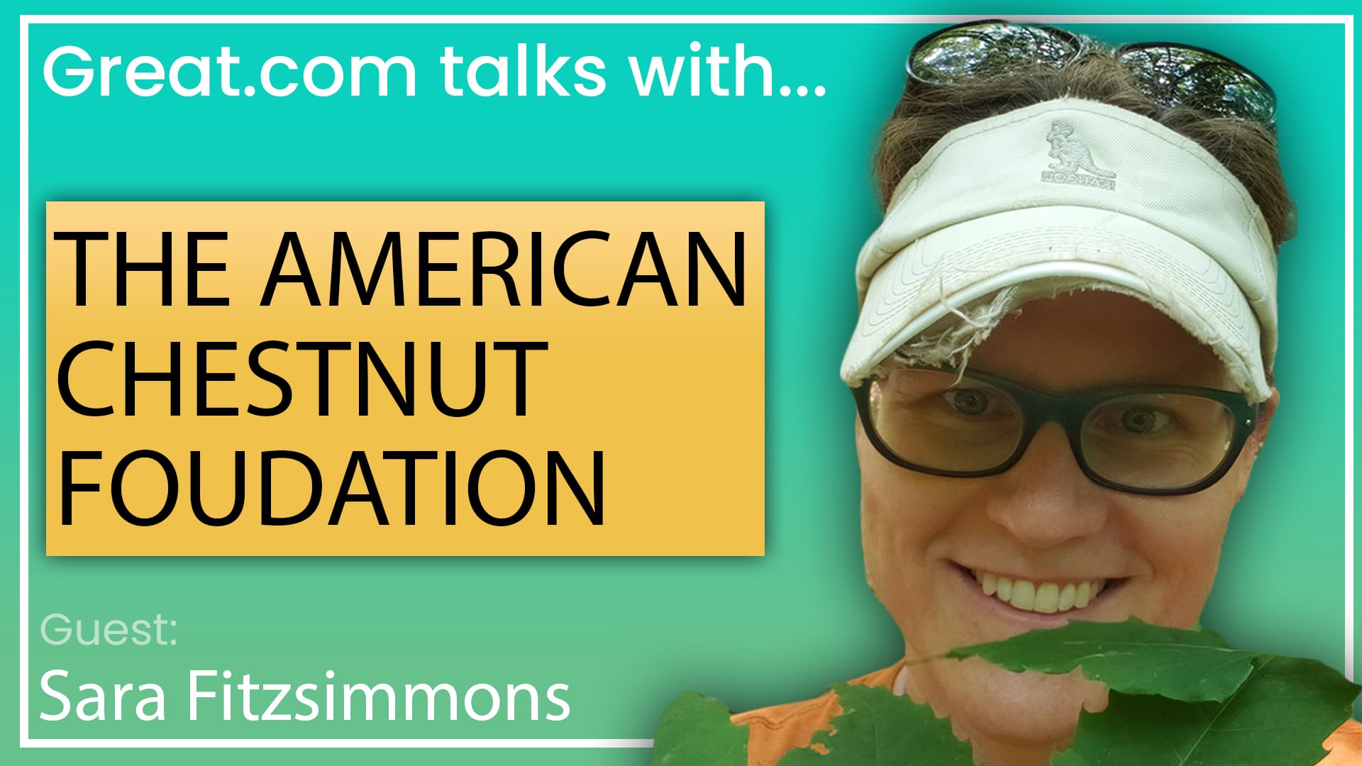 How to Bring Back Eastern America’s Most Treasured Tree: The American ...