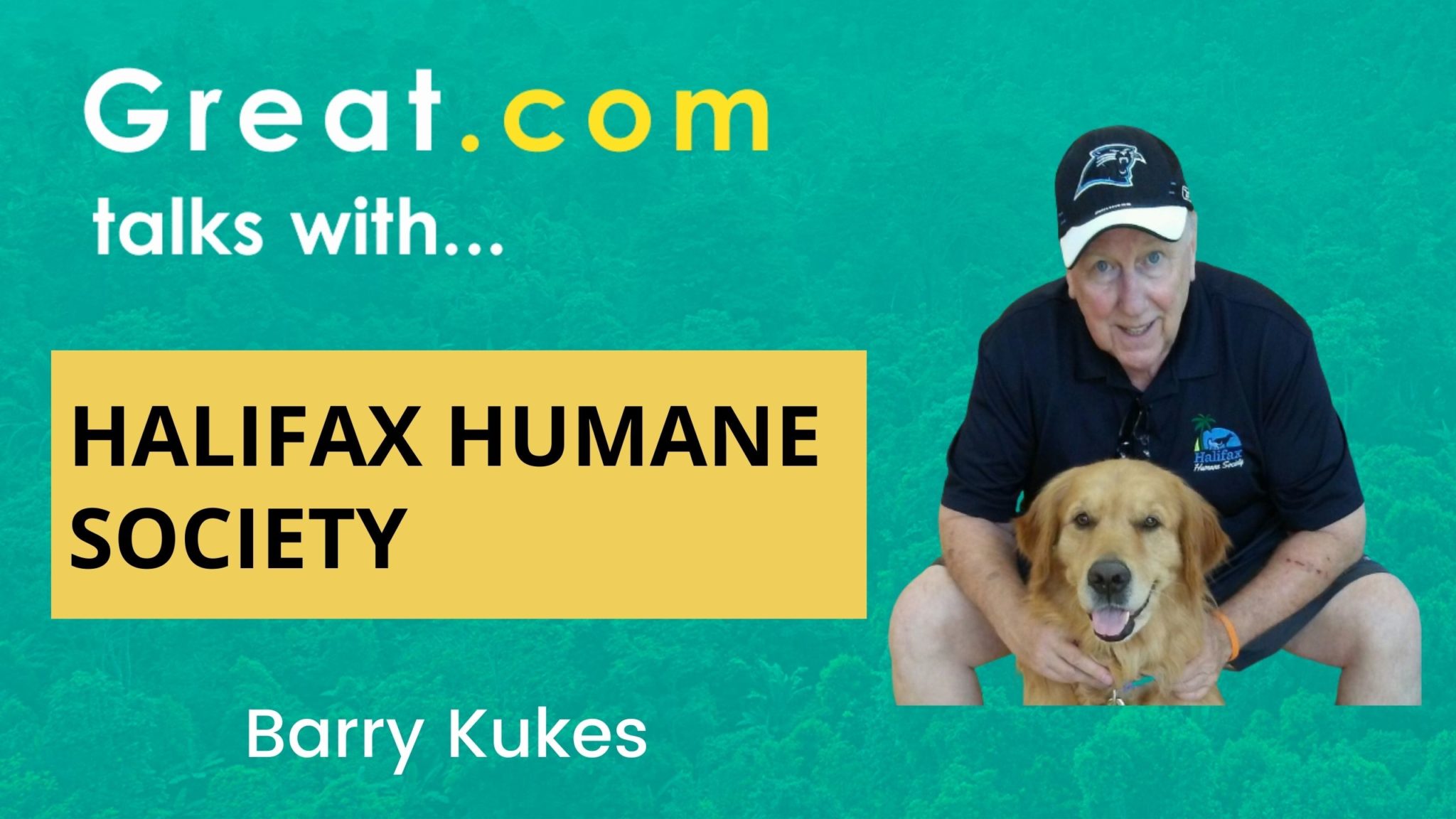Halifax Humane Society Looks After Animals In Florida - Great.com