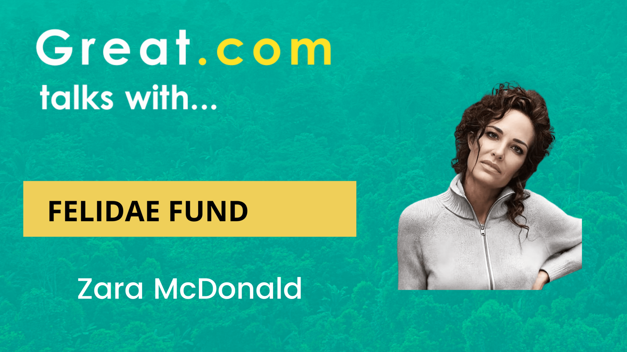 Felidae Fund is Protecting the Wild Future of Big Cats - Great.com